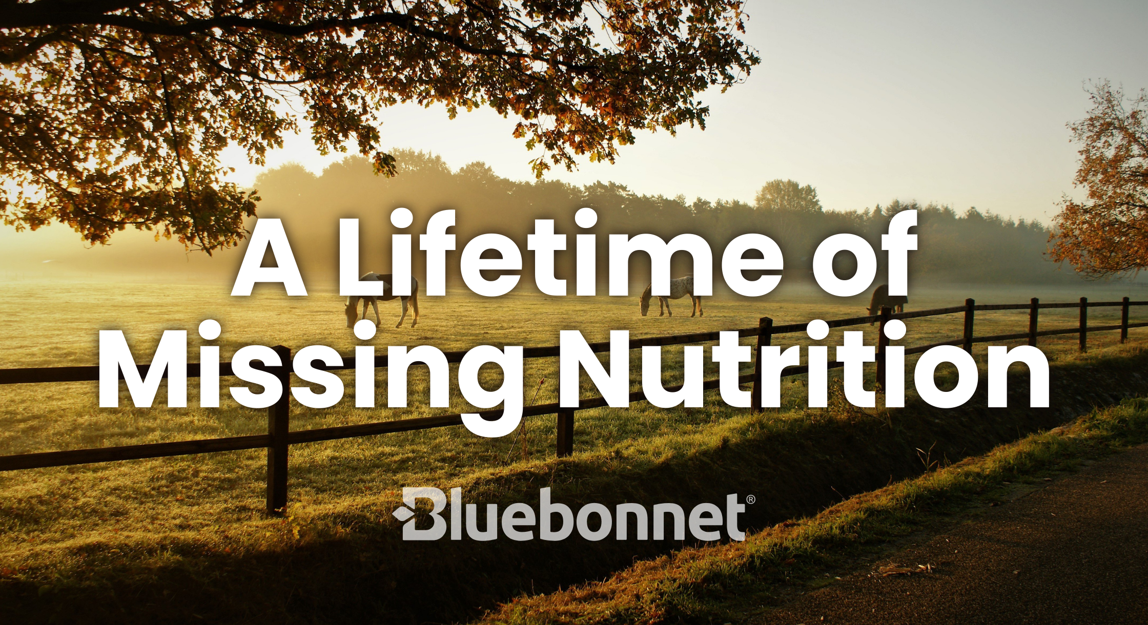 A Lifetime of Missing Nutrition – Bluebonnet