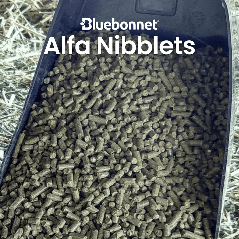 Alfa Nibblets | Consistent and clean alfalfa-based pelleted forage – Bluebonnet