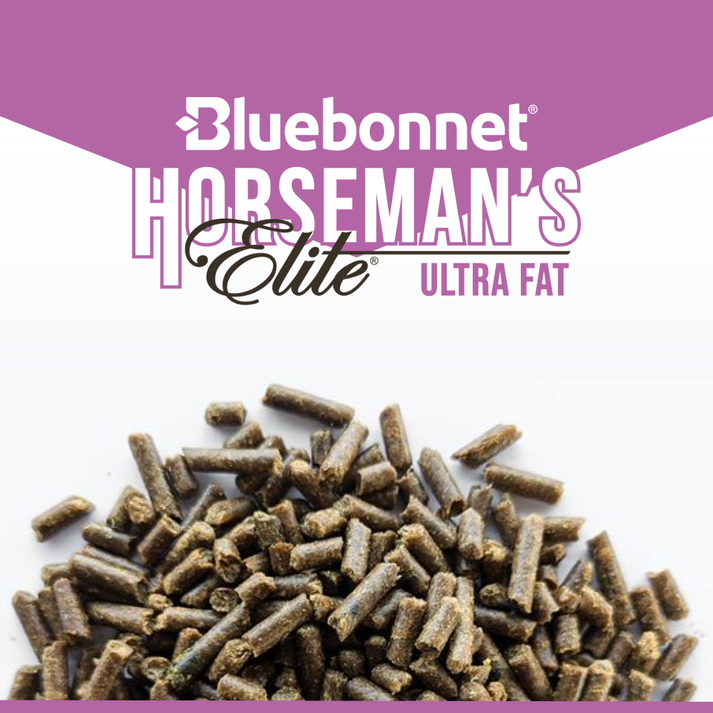 Horseman's Elite® Ultra Fat | High-fat pelleted horse feed with protein ...