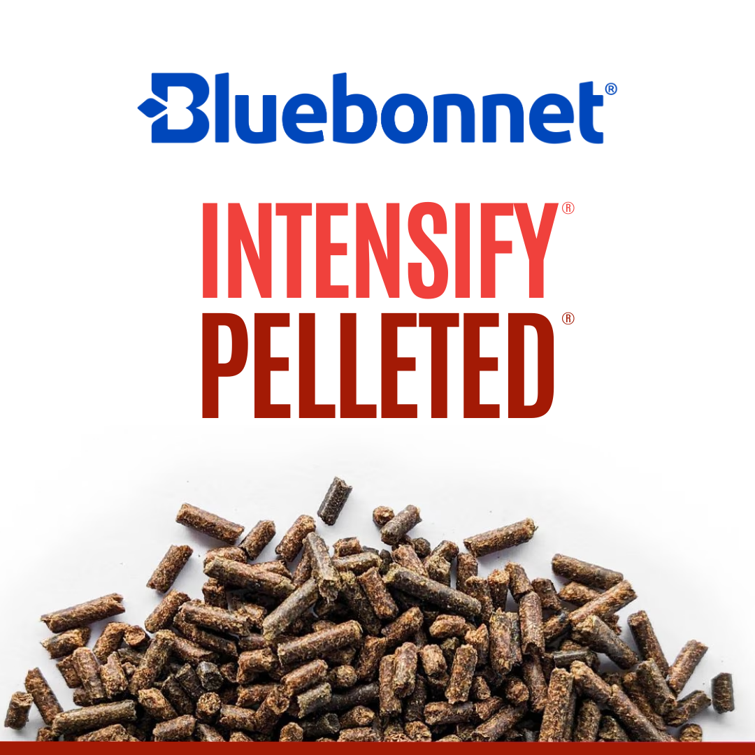 Intensify® Pelleted | Enhanced nutrition for the entire barn. – Bluebonnet