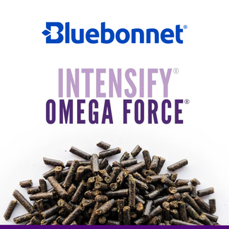 Intensify® Omega Force® | The ultimate in equine nutrition. – Bluebonnet