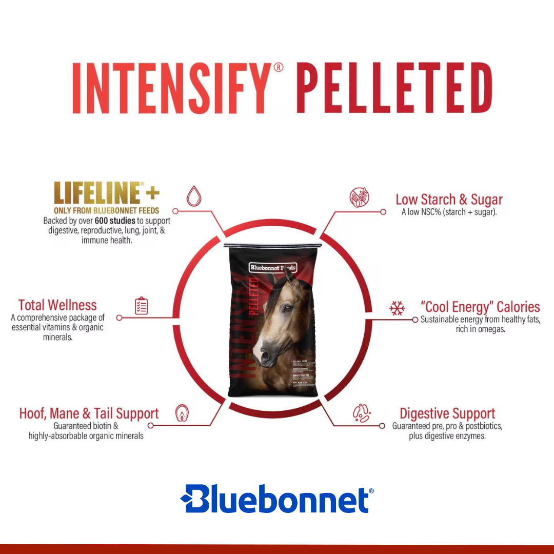 Vitamin E For Horses Bluebonnet Intensify Horse Feed (50lb) - Low ...