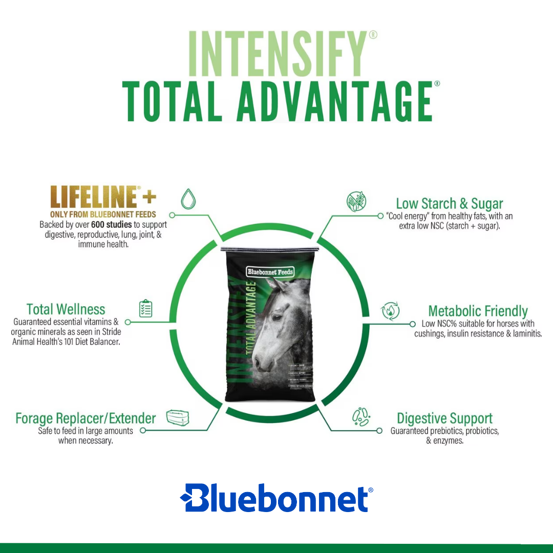 Intensify® Total Advantage® | A complete diet, with targeted benefits ...