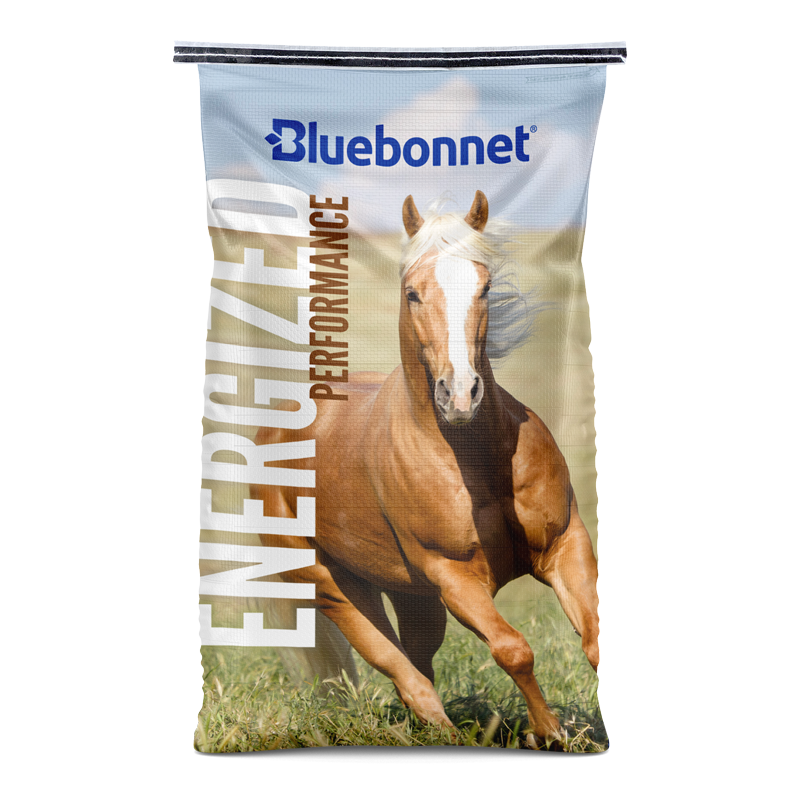 Energized® Performance | An economical performance feed with reliable ...