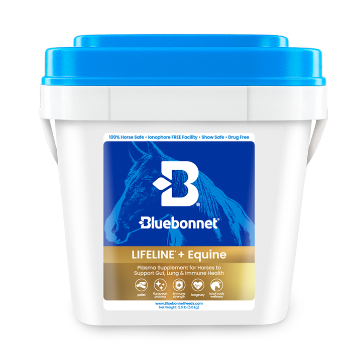 Bluebonnet® Lifeline®+ Equine | Plasma supplement for allergies, lungs ...