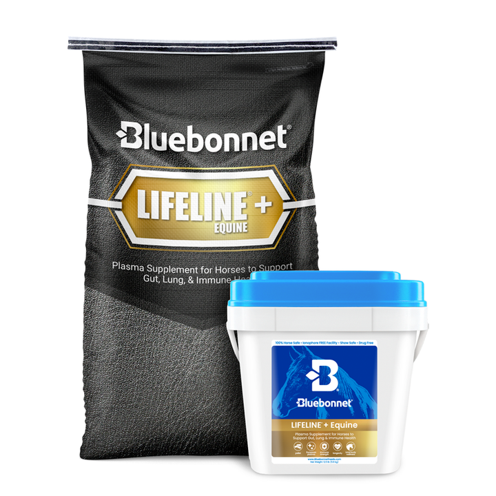 Equine Supplements – Bluebonnet