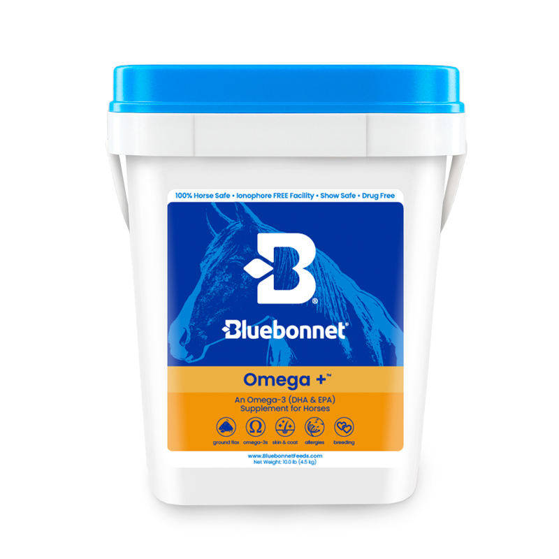 OMEGA +™ | Omega 3 fish oil, flax seed, rice bran supplement for horses ...