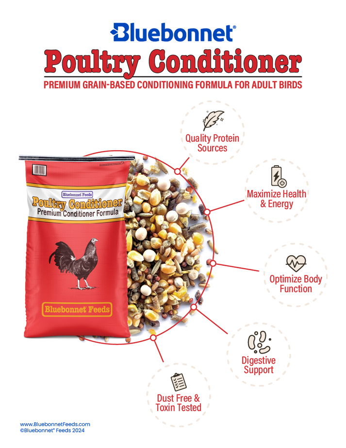 Poultry Conditioner 16% | Premium Grain-Based Conditioning Formula for ...