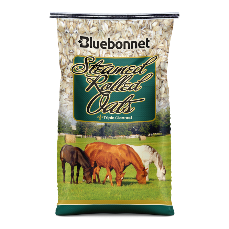 Steamed Rolled Oats | Triple Cleaned Rolled Oats – Bluebonnet