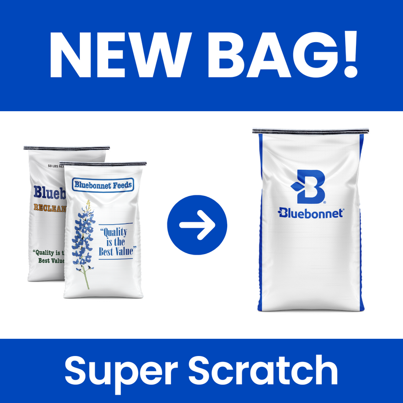 Super Scratch | Premium Quality Triple-Cleaned Three Grain Blend ...