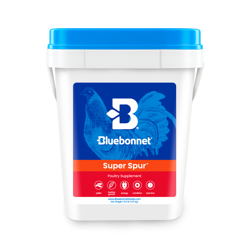 SUPER SPUR® | Nutrition supplement for show poultry and backyard ...