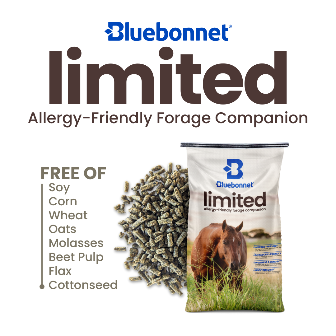 Limited | Allergy-Friendly Forage Companion For Horses – Bluebonnet