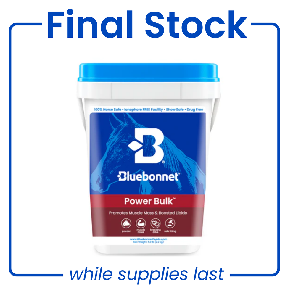 POWER BULK™ | Increase muscle mass in halter horses and stallion libido ...